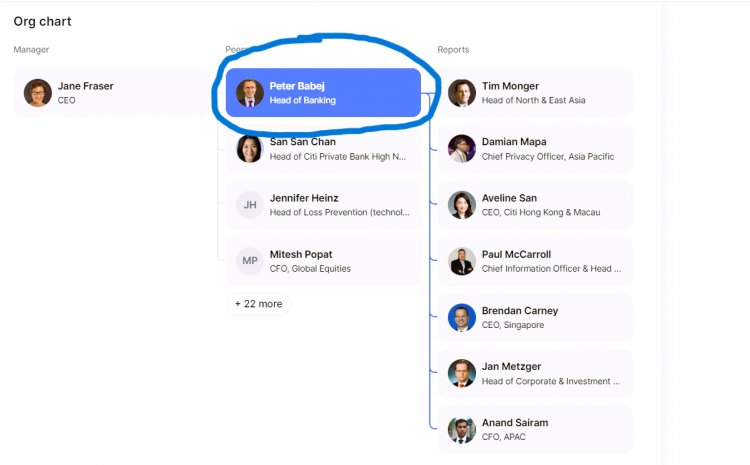 Citi’s Head of Banking Viswas Raghavan is an Indian and a Chartered ...